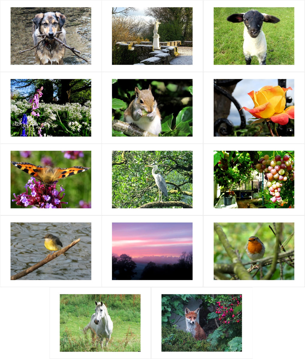 CALBUN - Calendar Card Bundle – Glencairn Abbey Shop